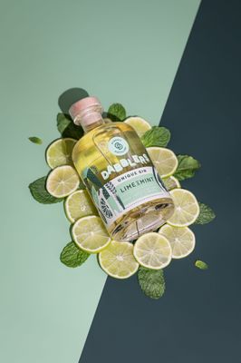 Dabblers Lime & Mint Naturally Infused Gin - 500ml, Gin | Dabblers